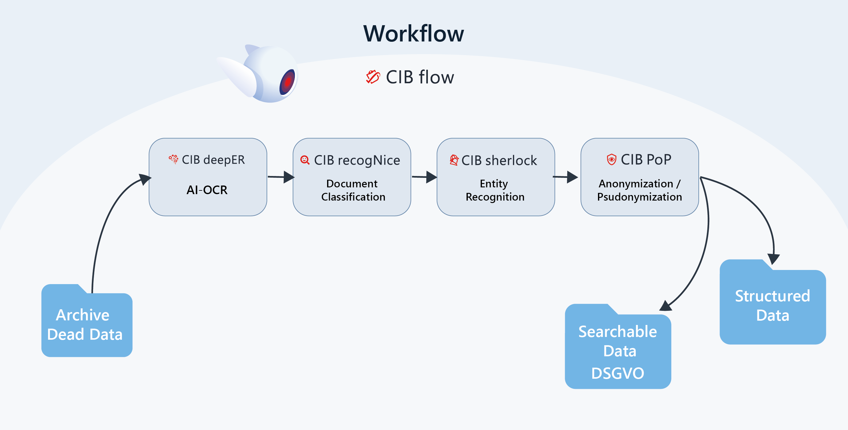 Making inaccessible databases usable with the help of AI and automation
